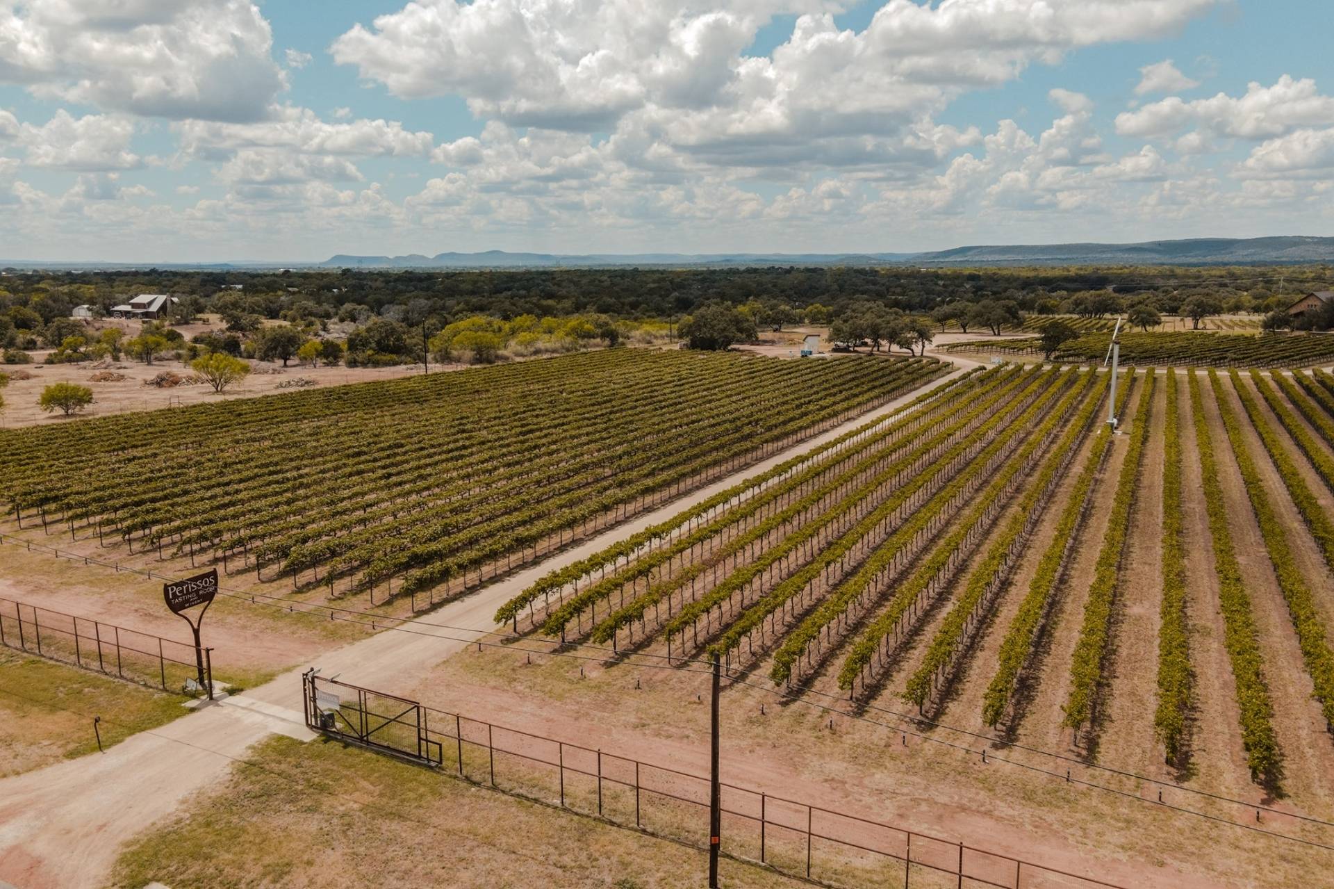 Perissos Vineyard and Winery ⭐️ Criticas, Preço - 2026