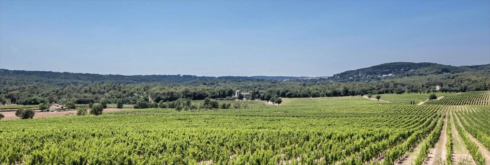 Château Roubine ⭐️ Tour, Reviews, Price - 2025