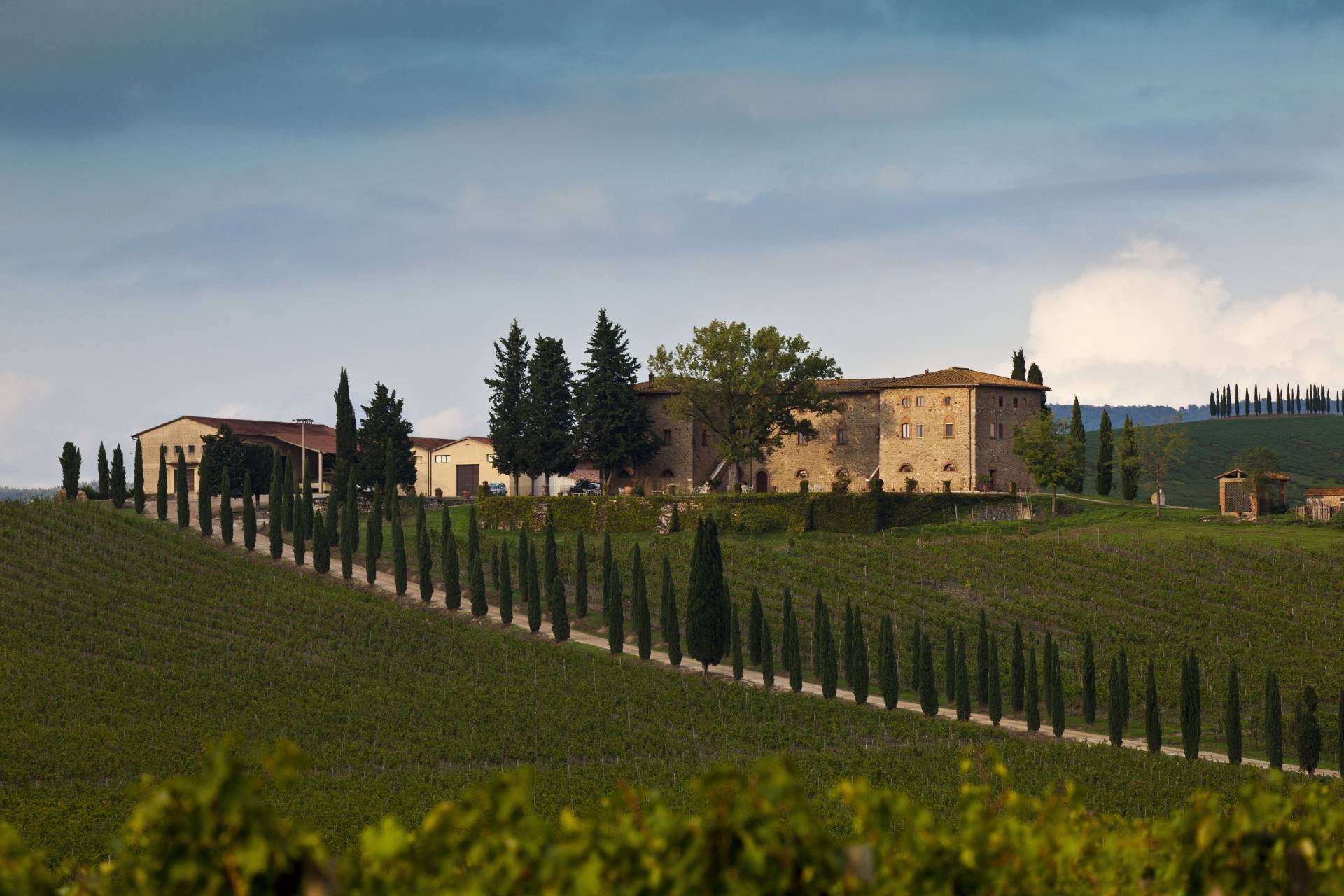 Casale dello Sparviero Tour & Tasting 2026 ⭐️ Book your Visit Now!