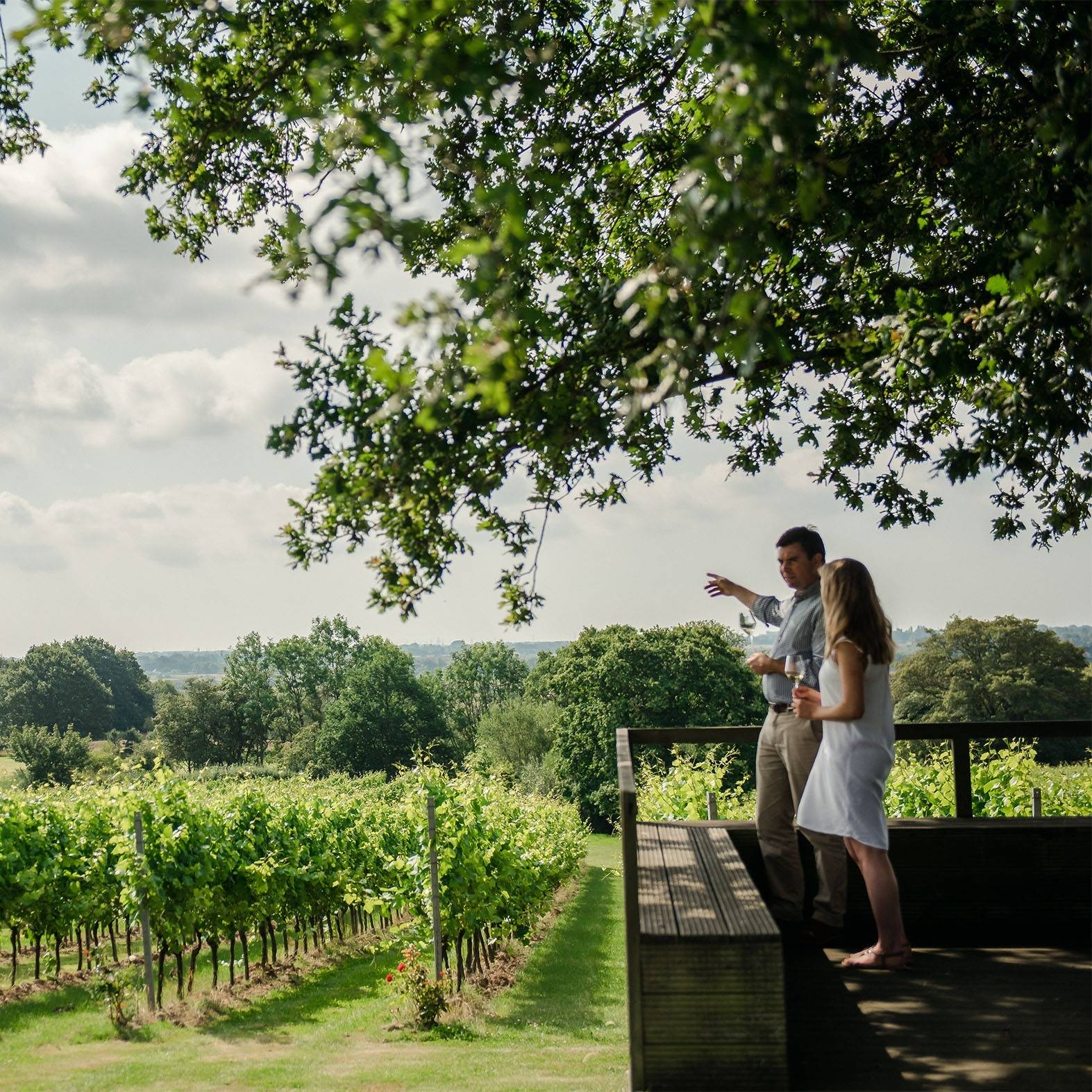 Gusbourne Estate ⭐️ Tour, Reviews, Price - 2026