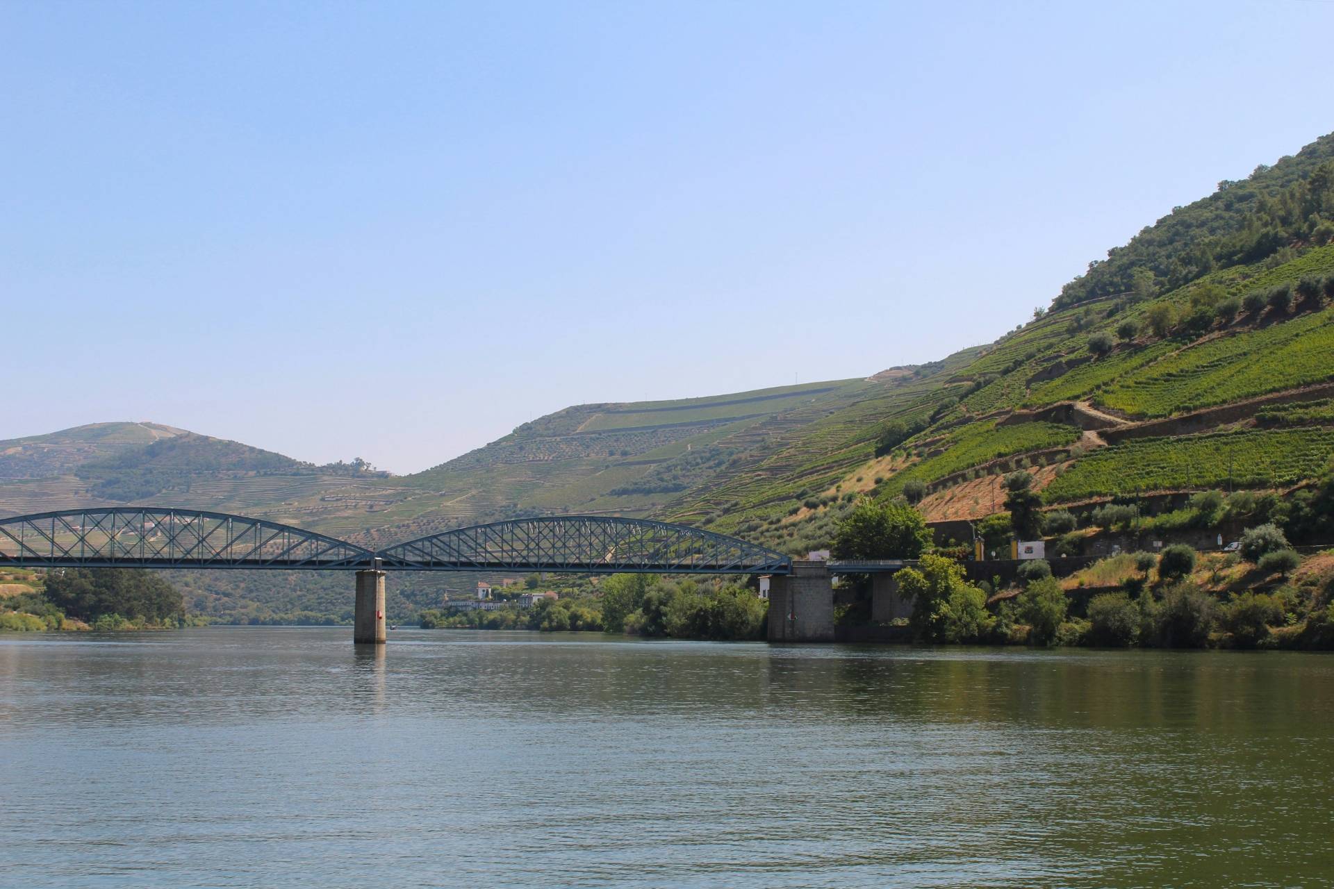 Pinhão Wine Tours & Tastings ⭐️ BEST Wineries 2025