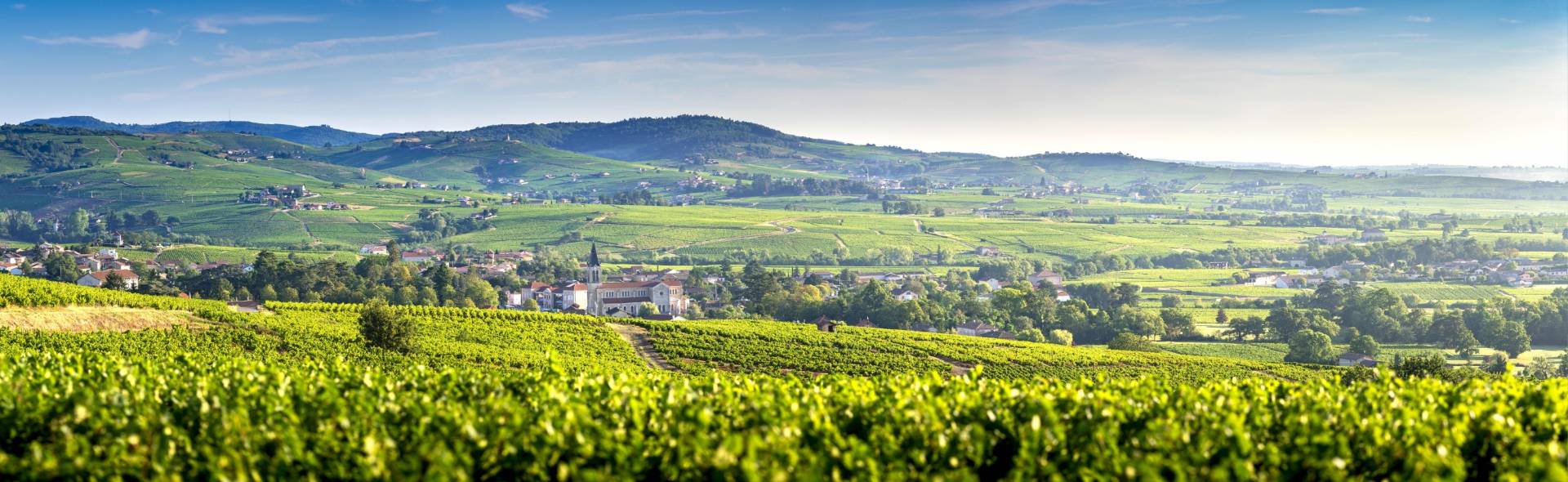 Visite Vignoble France - Les meilleures visites de caves