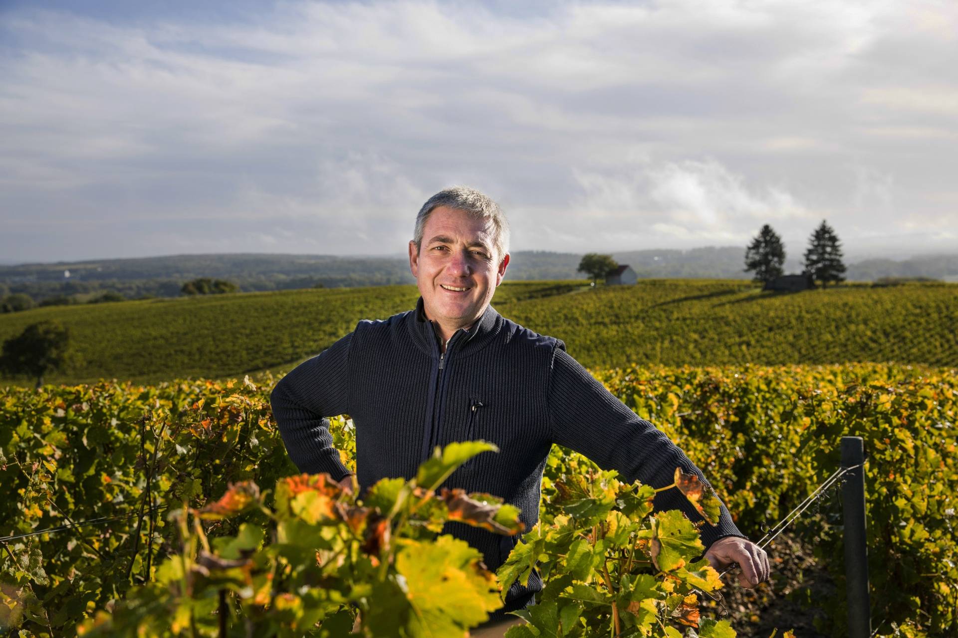 Domaine Eric Louis - Les Celliers De La Pauline a Thauvenay ⭐️ Prenota ...