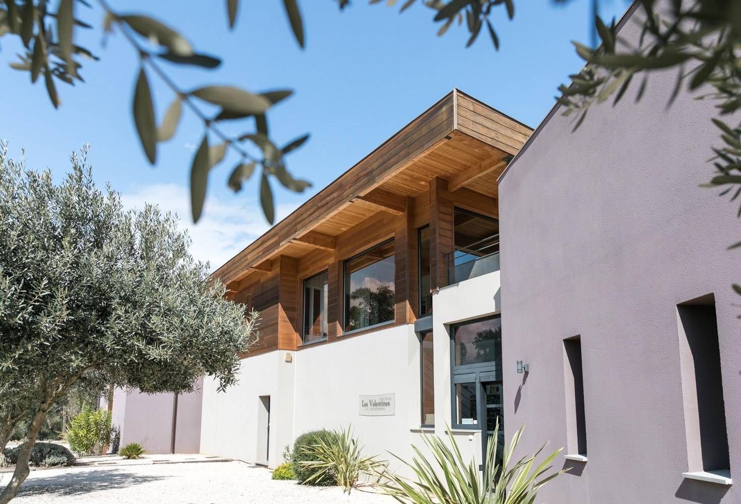 BEST Cassis Wine Tastings & Winery Tours ⭐️ TOP 2024