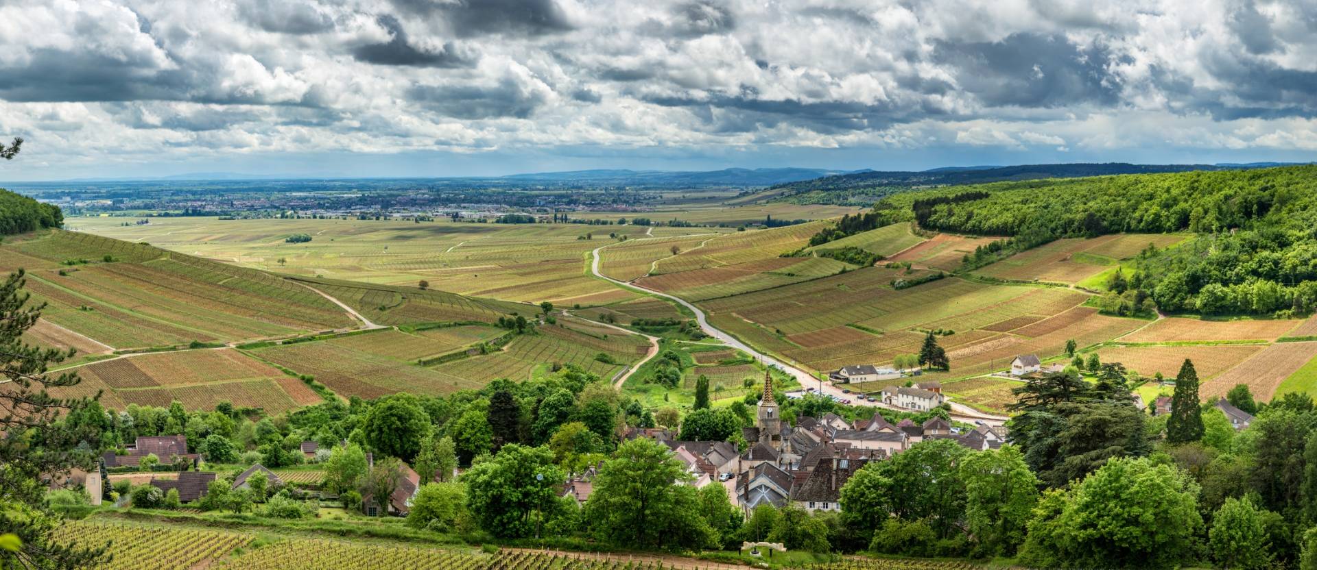 Chablis Wine Tours & Tastings ⭐️ BEST Wineries 2025