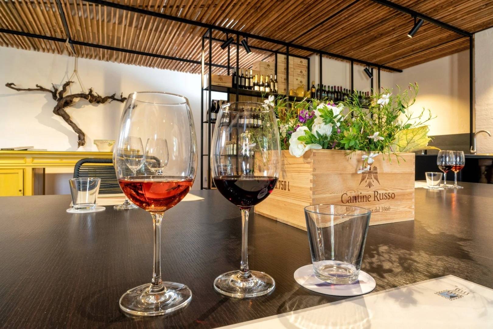 Russo Winery ⭐️ Tour, Reviews, Price - 2025