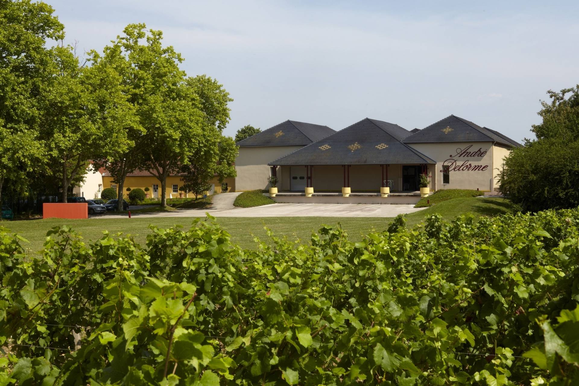 Maison André Delorme Tour & Tasting 2026 ⭐️ Book your Visit Now!