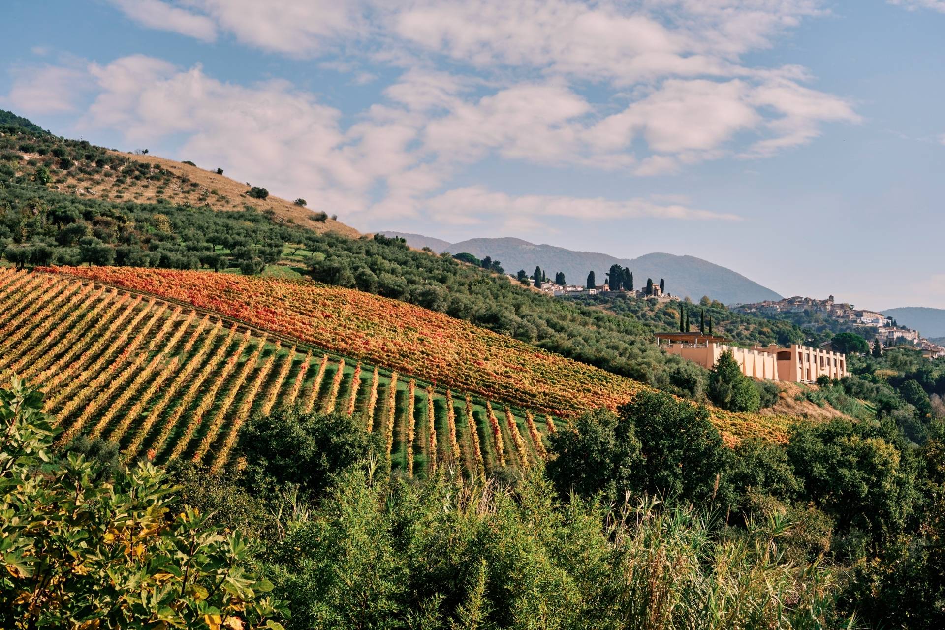 Marco Carpineti Tour & Tasting 2026 ⭐️ Book your Visit Now!