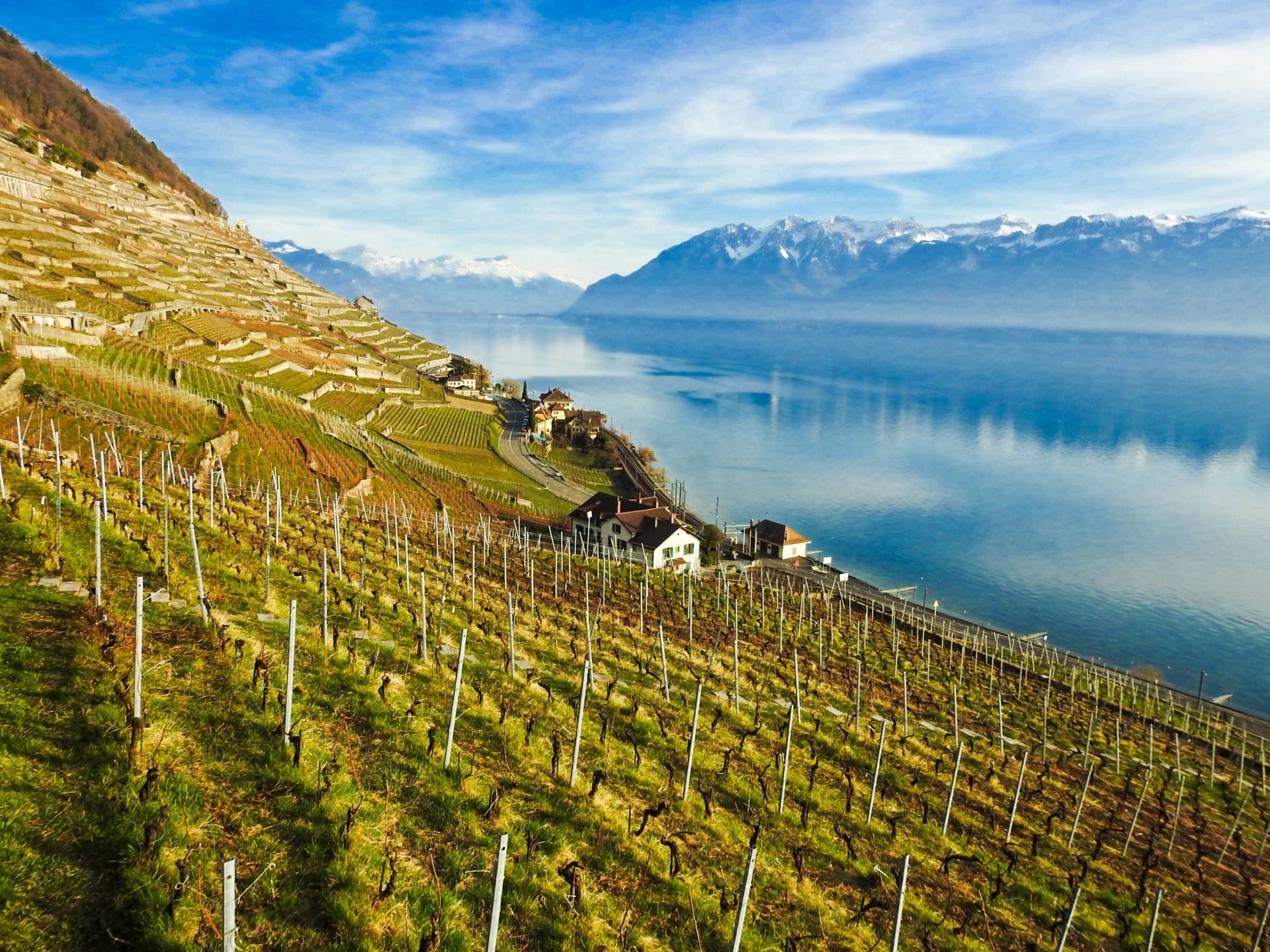 Vaud Wineries to Visit ⭐️ 2024 Best Tours & Tastings