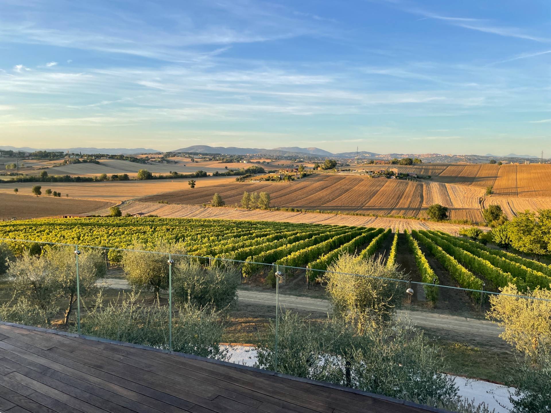 Tenuta dei Mori ⭐️ Book Tours & Tastings