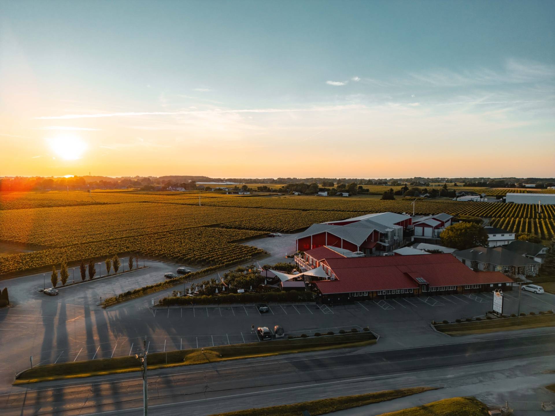 Pillitteri Estates Winery Tour & Tasting 2026 ⭐️ Book your Visit Now!