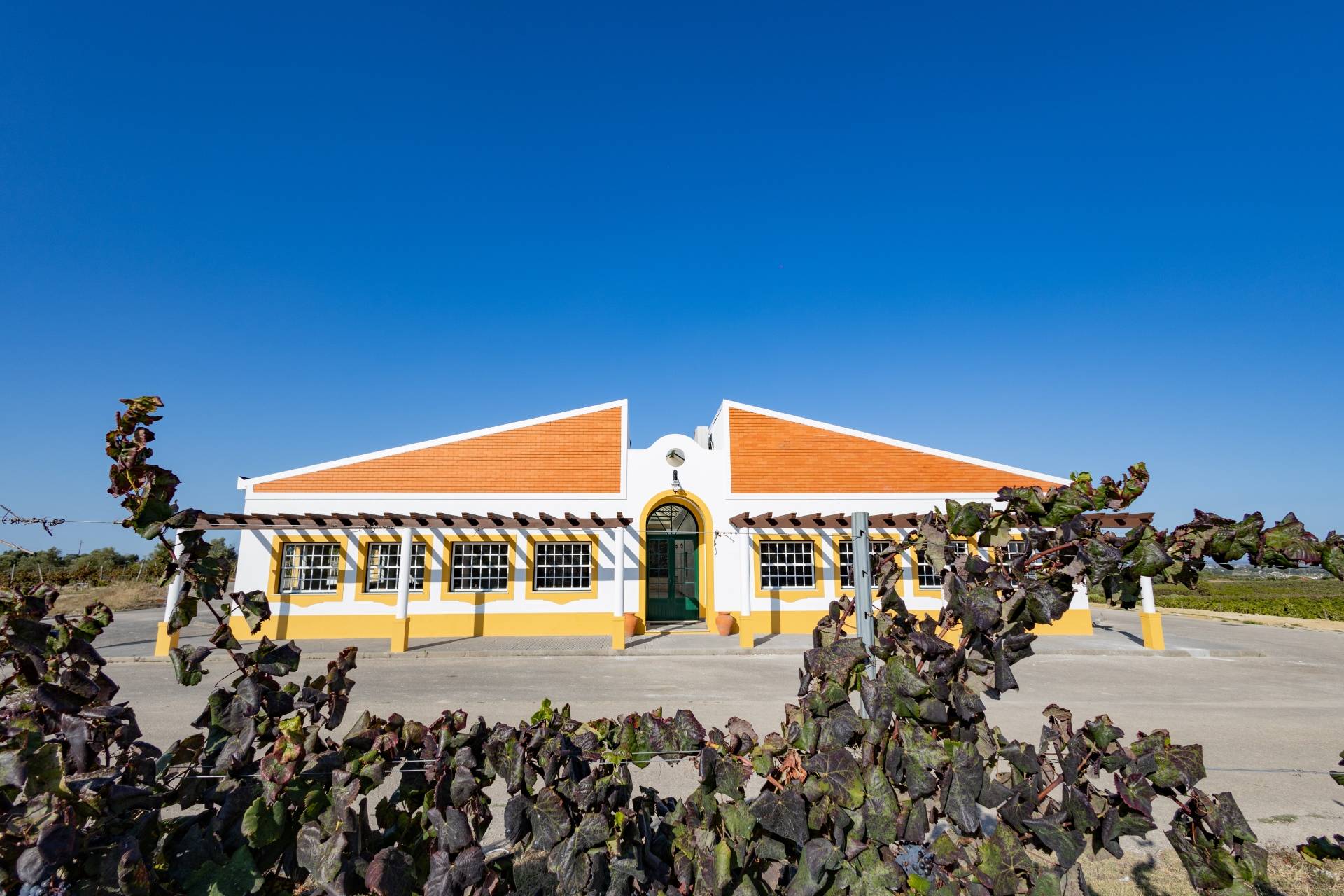 Quinta Do Sampayo ⭐️ Reserve Visita & Prova (2026)