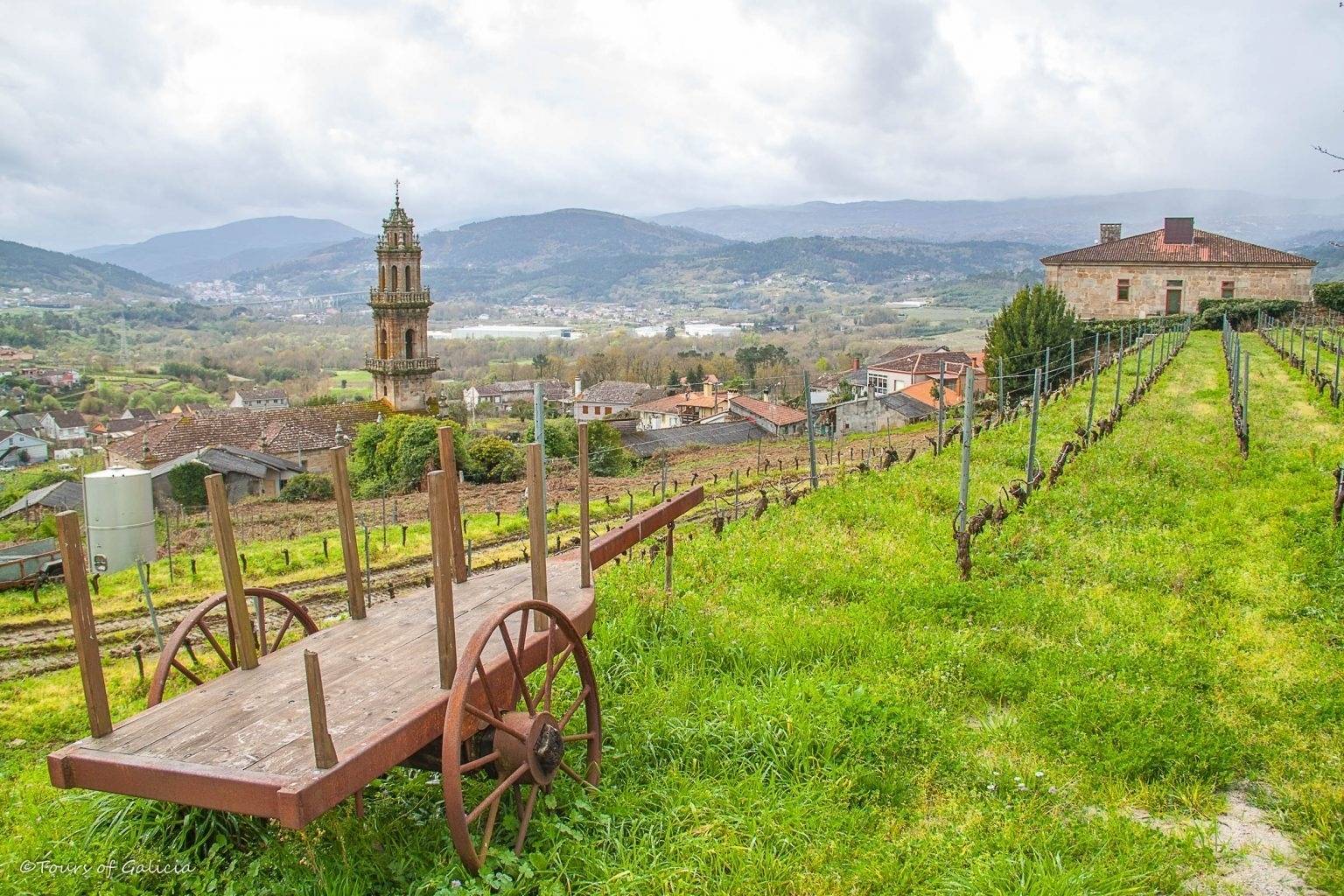 Tours Of Galicia Tour & Tasting 2026 ⭐️ Book your Visit Now!