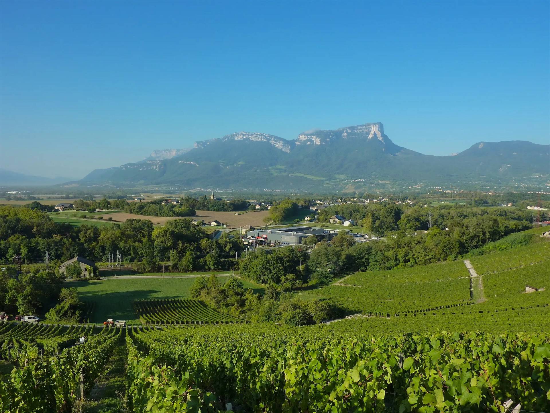 Domaine Jean-charles Girard-madoux Tour & Tasting 2026 ⭐️ Book your ...