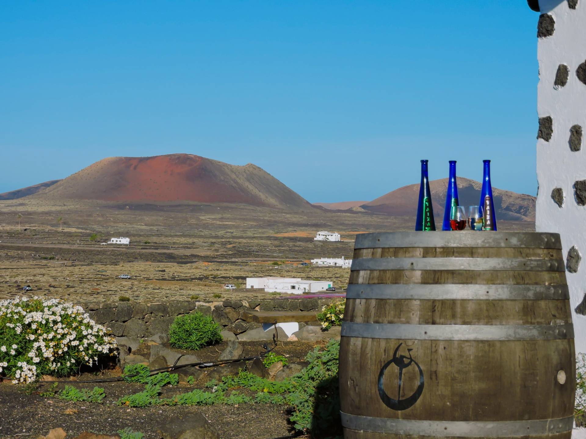 Canary Islands Wineries to Visit ⭐️ 2024 Best Tours & Tastings