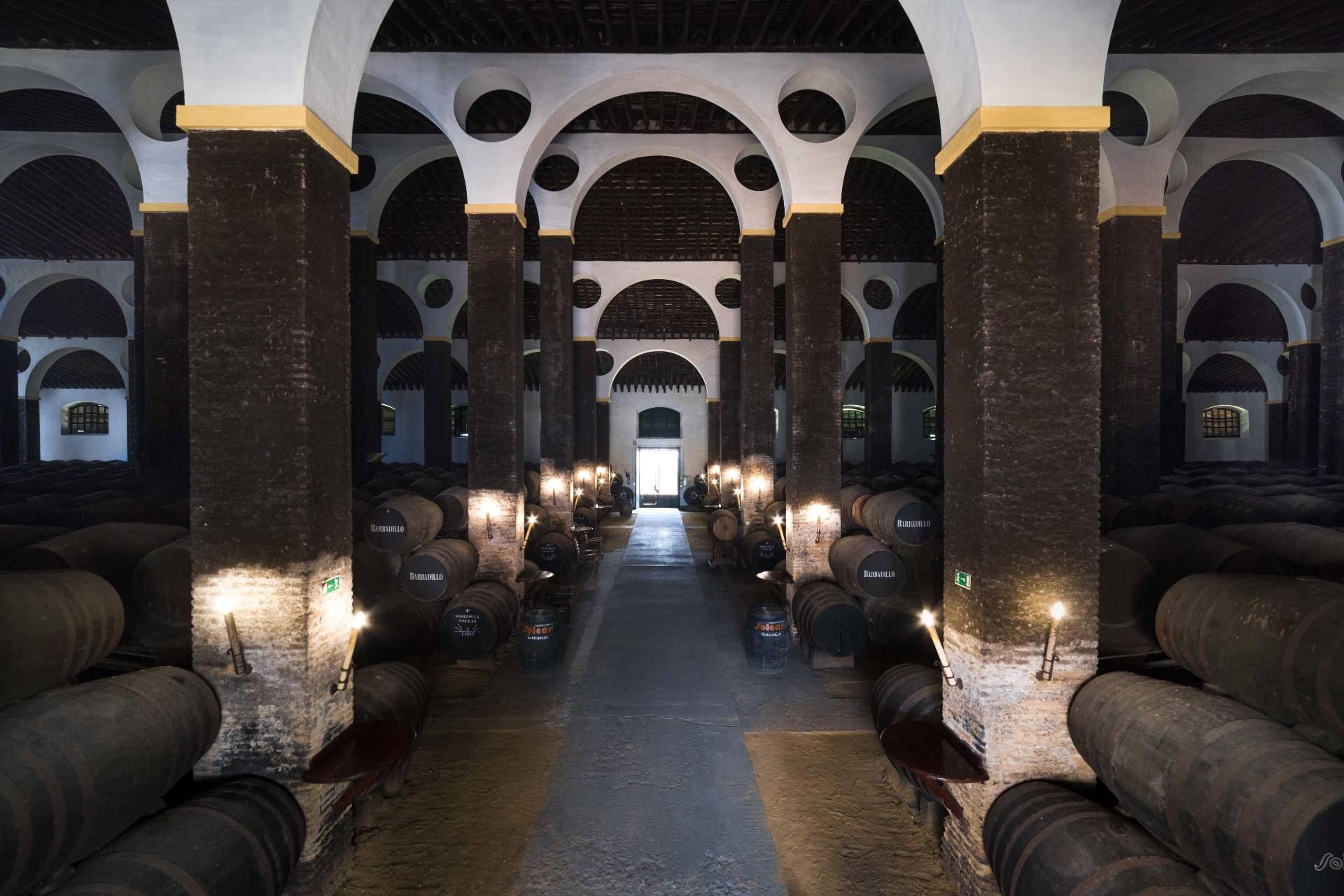 Guided visit to Wineries and Tasting of 3 wines