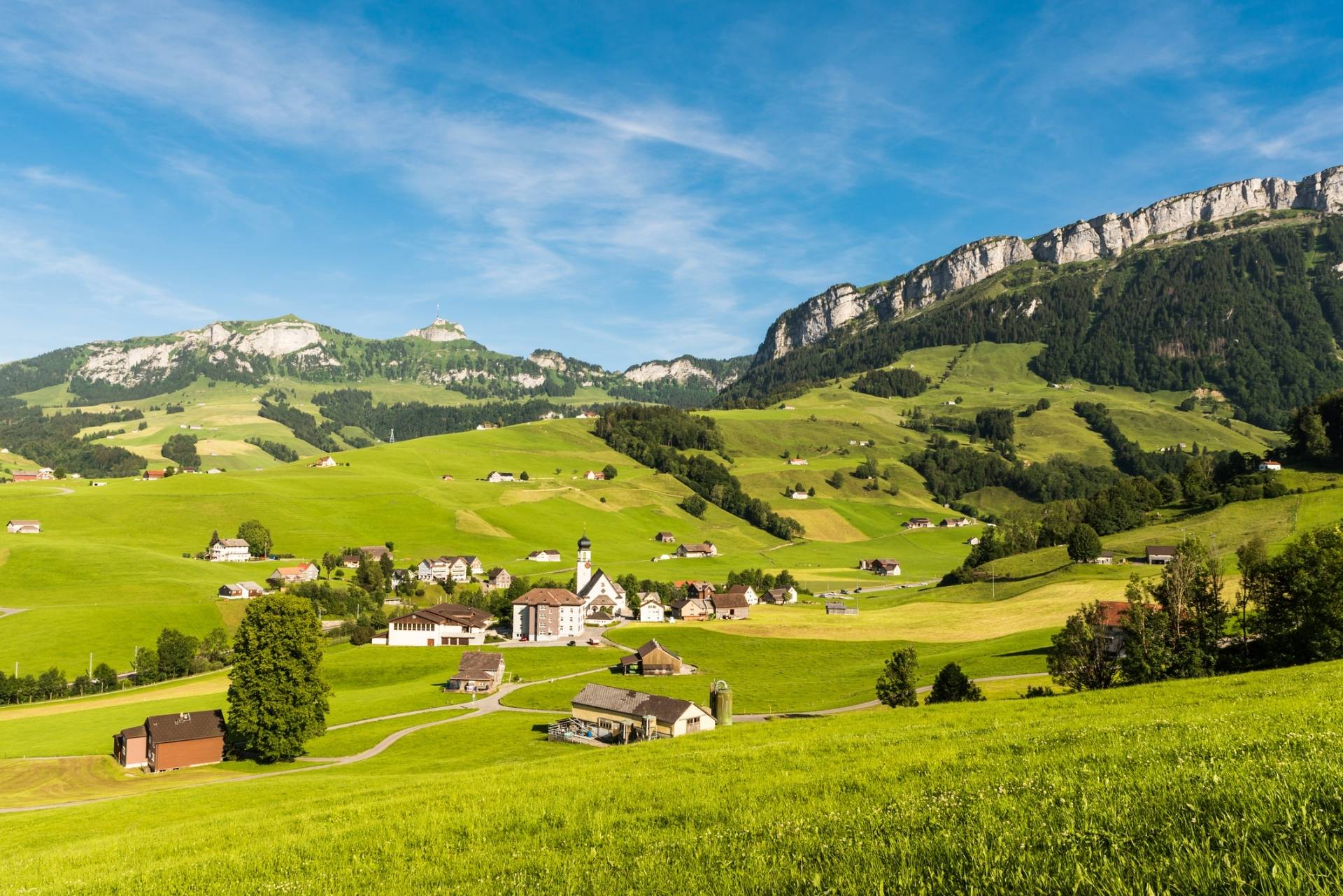 Migliori Degustazioni Vini e Visite Cantina in Svizzera tedesca ⭐️ TOP 2026