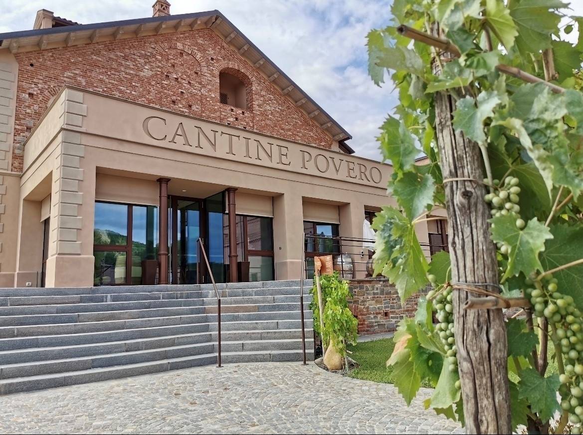 Cantine Povero Tour & Tasting 2026 ⭐️ Book your Visit Now!