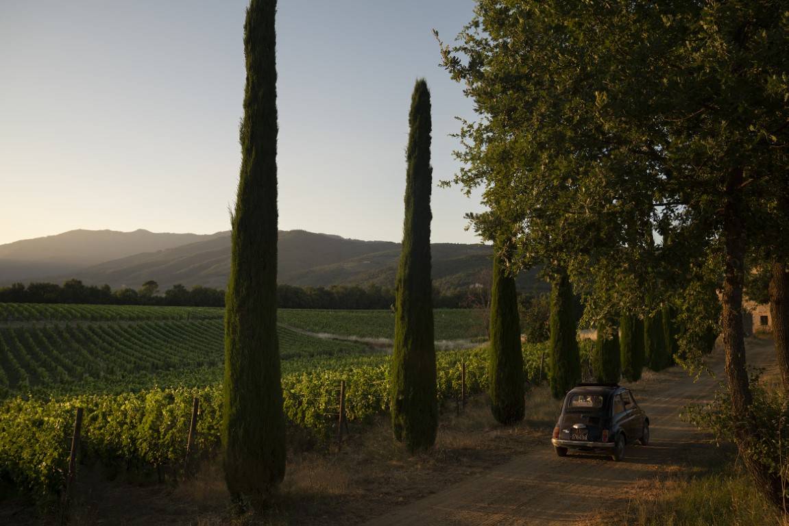 Tenuta Sette Ponti ⭐️ Tour, Reviews, Price - 2025