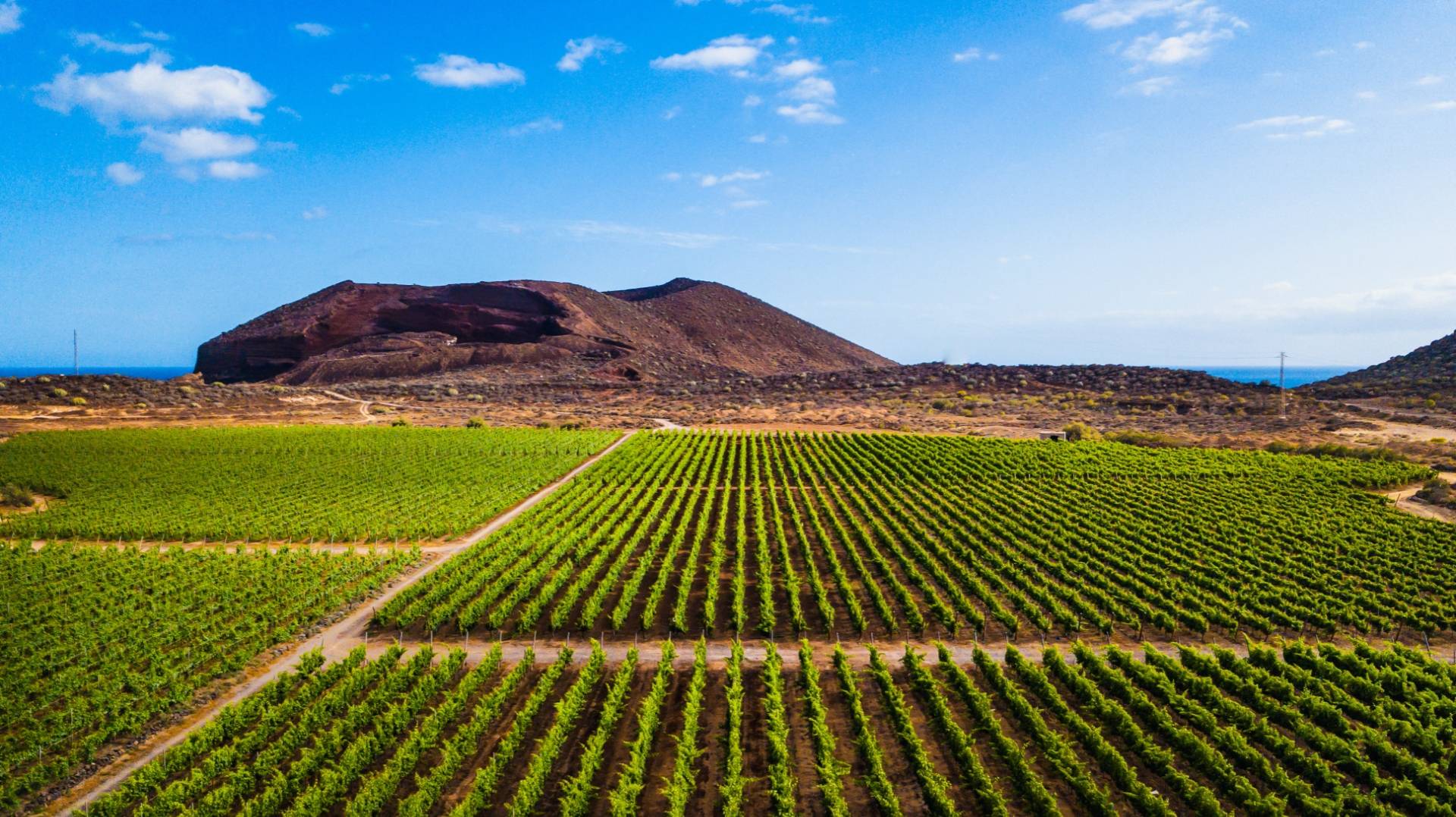 Besök Kanarieöarna ⭐️ BEST Wine Tours & Tastings 2026