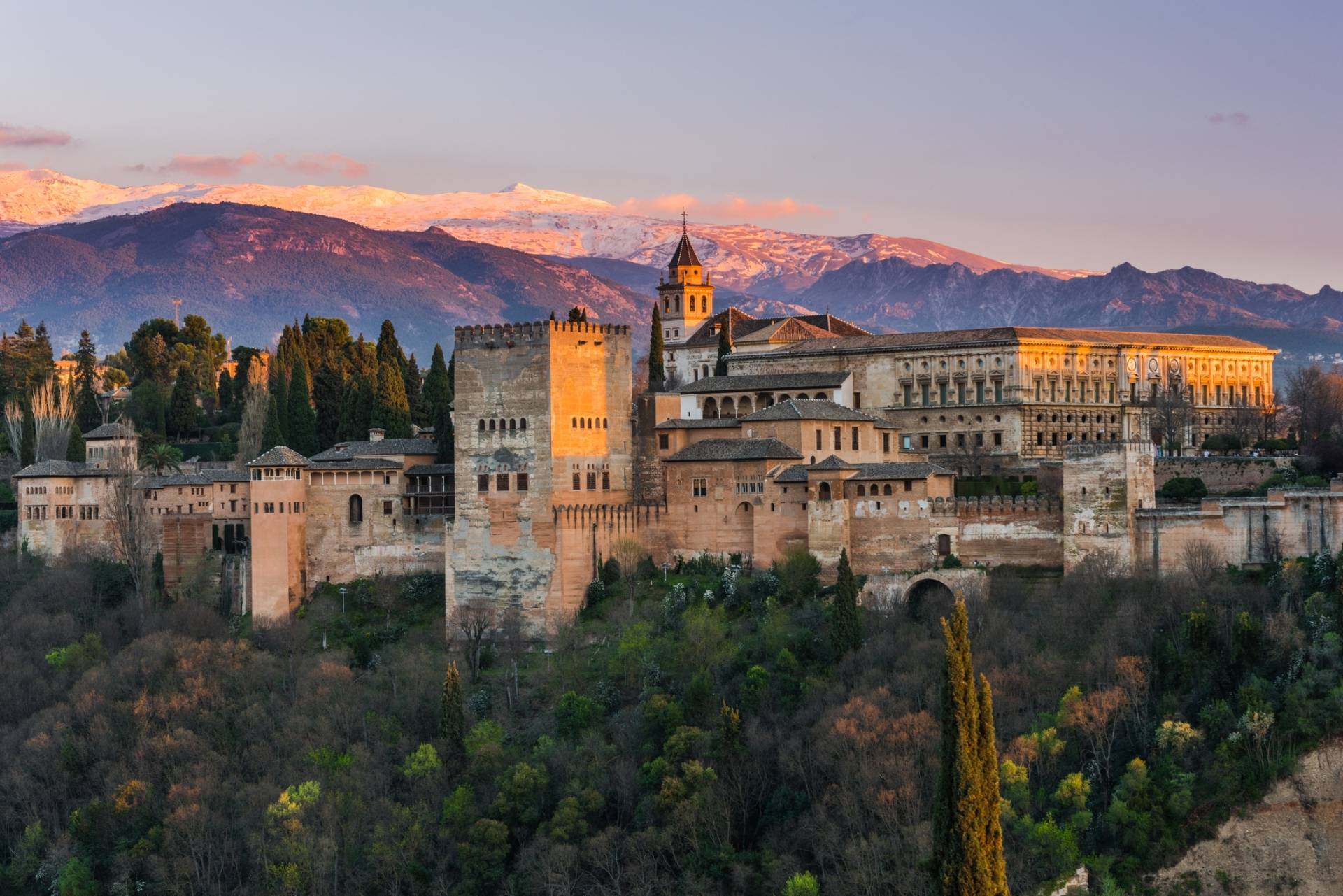 Granada Wine Tours & Tastings ⭐️ BEST Wineries 2026
