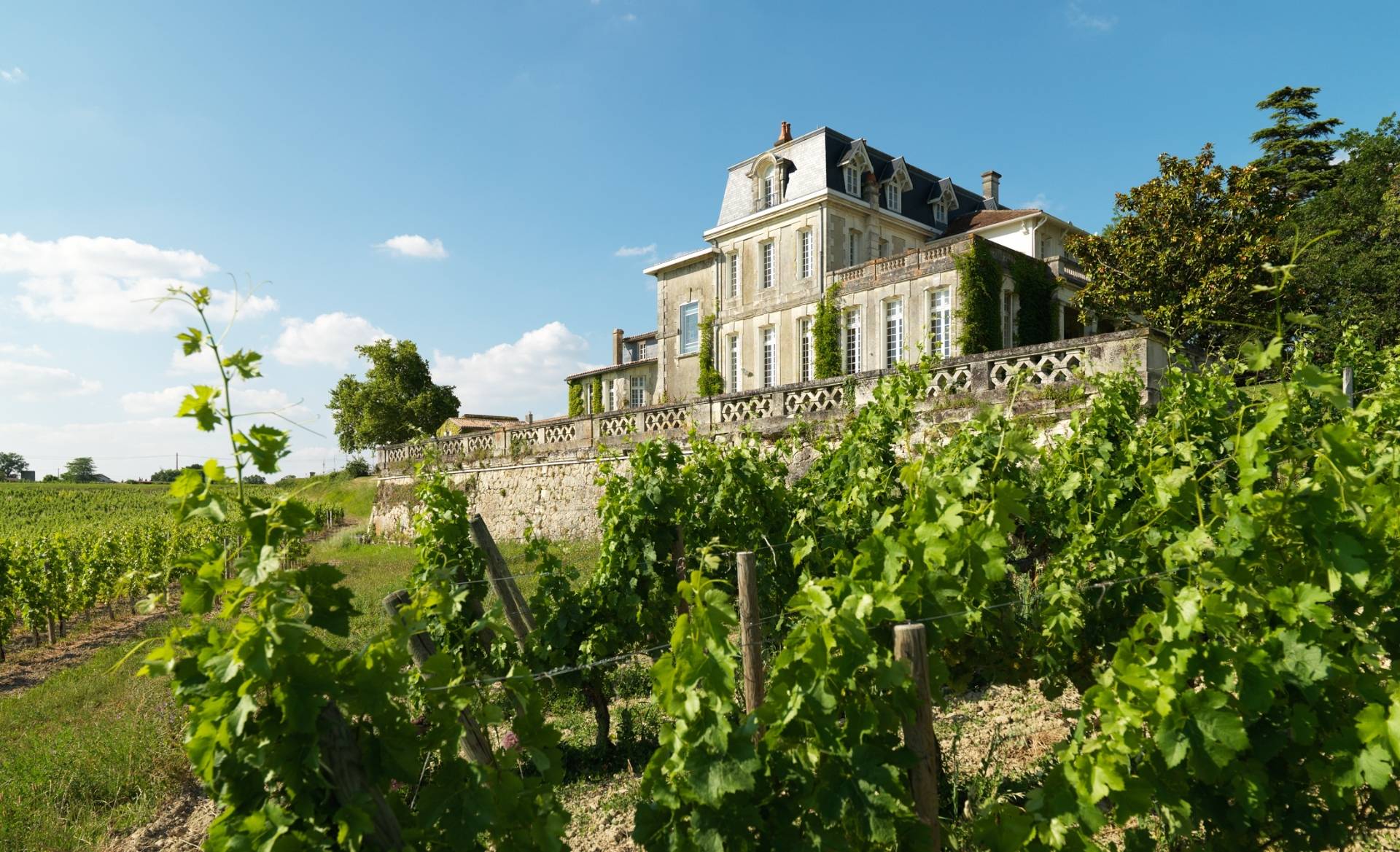lieu dit, FronsacのChâteau Gaby - Vignobles Sullivan：訪問を予約する