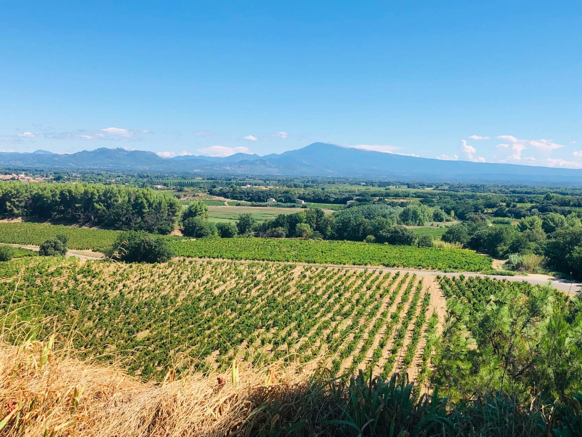Château Cristia Tour & Tasting 2026 ⭐️ Book your Visit Now!