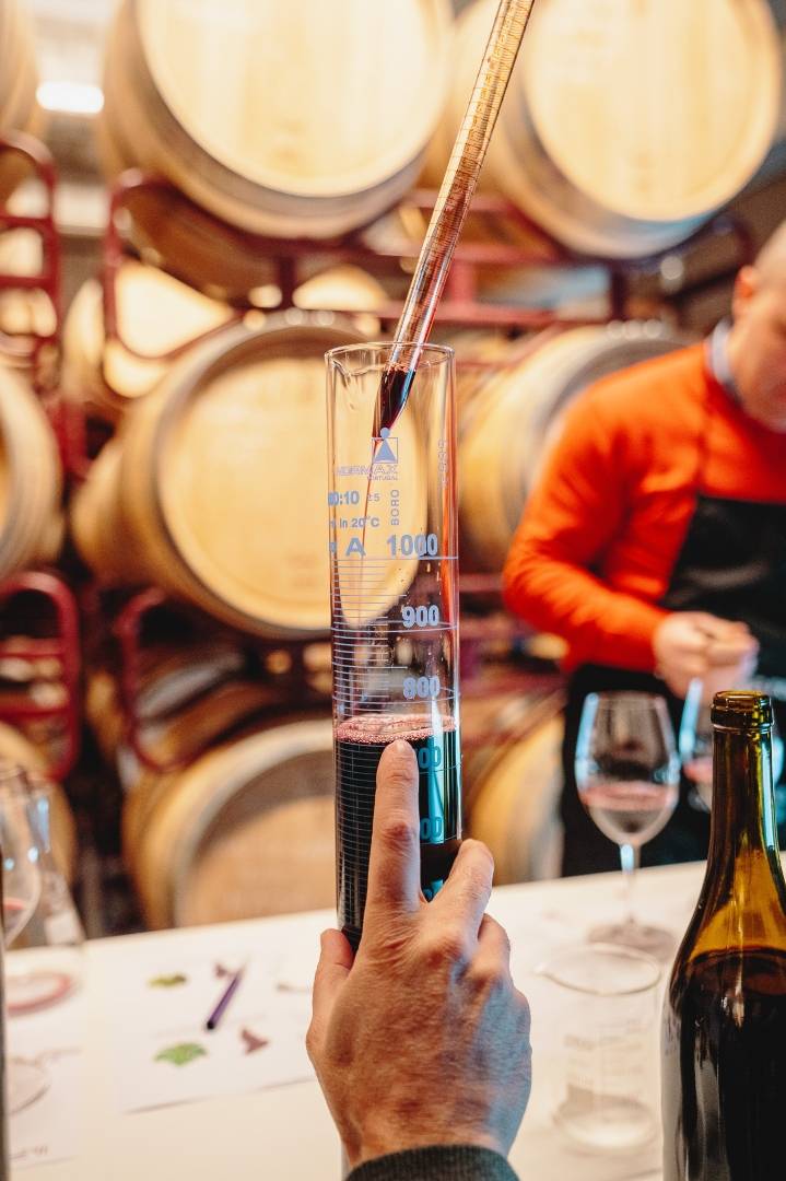 Wijnmaker voor een dag