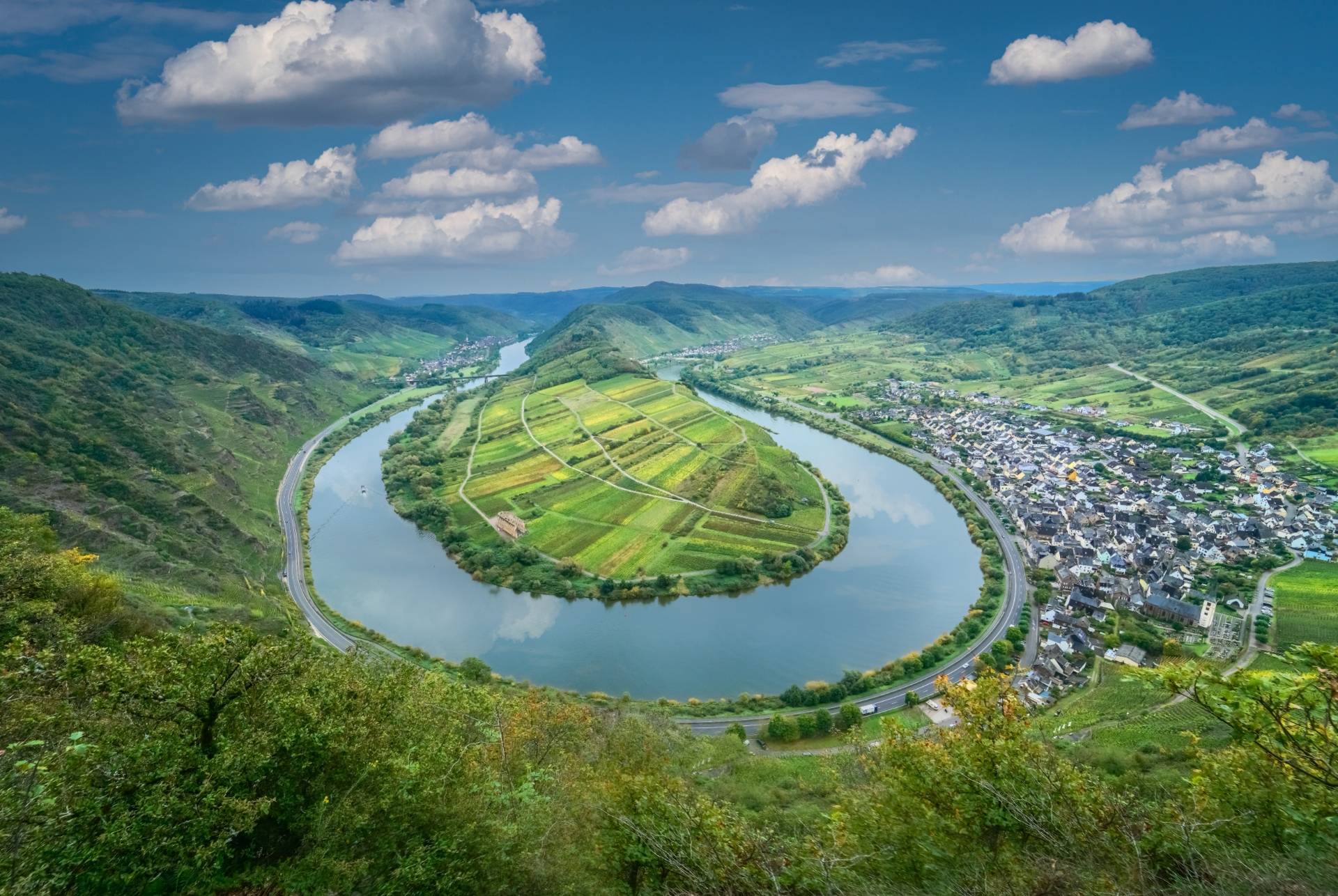 Mosel Wine tours & Tastings ⭐️ Best Wineries 2025