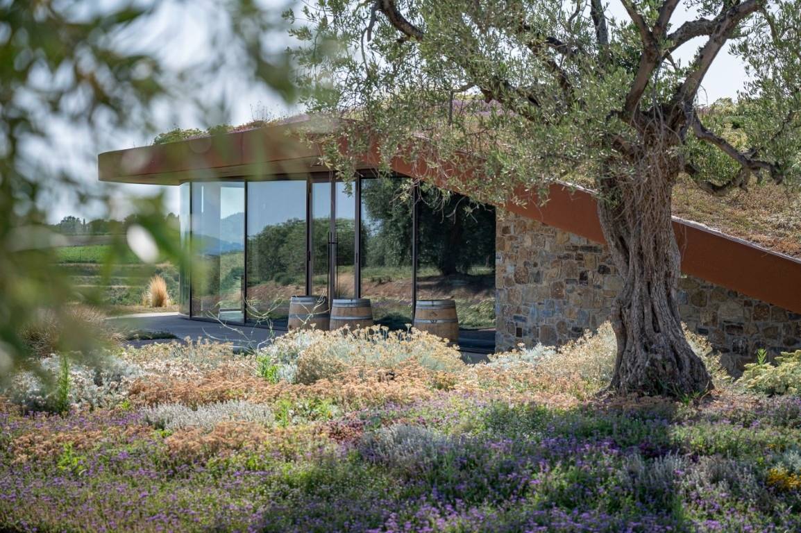 Tenuta Il Quinto ⭐️ Tour, Reviews, Price - 2025