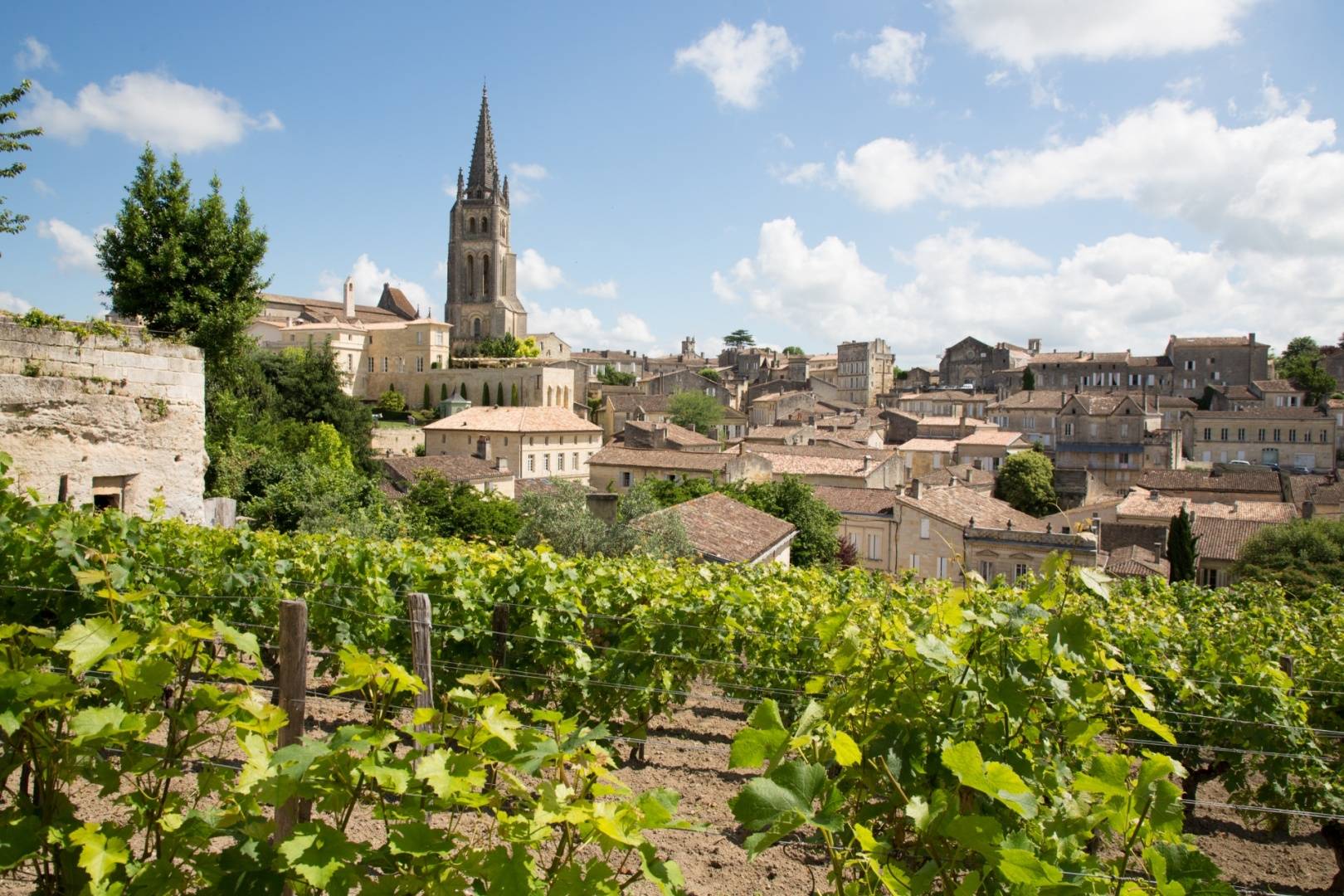 Bordeaux Wineries to Visit ⭐️ 2024 Best Tours & Tastings