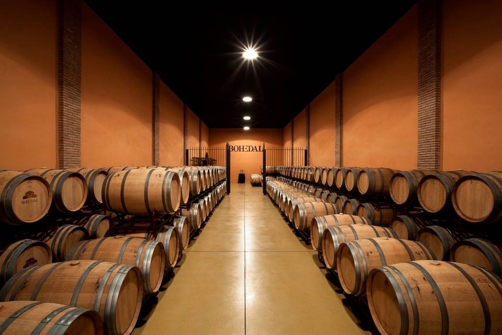 Bohedal Bodega Boutique ⭐️ Visitas y Catas - 2025