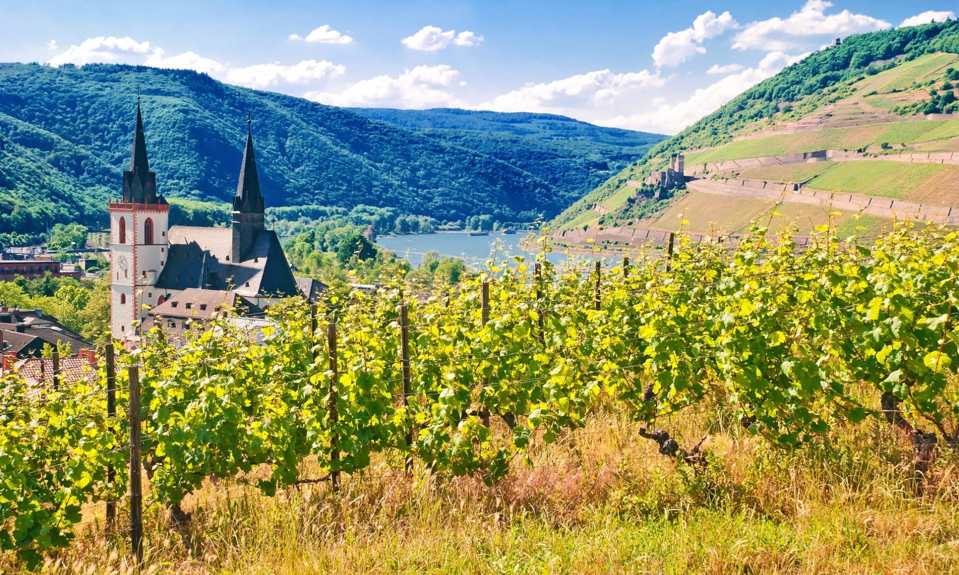 Hesse Wine tours & Tastings ⭐️ Best Wineries 2026