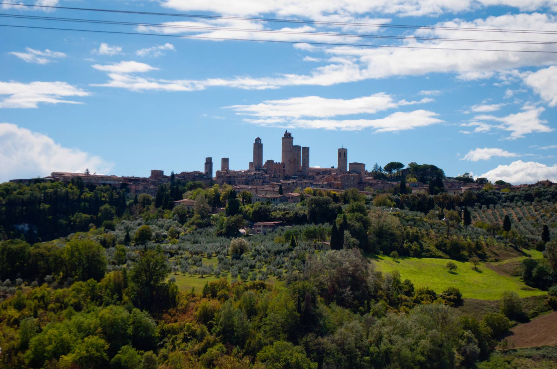 Arrigoni 1913 ⭐️ Book Tours & Tastings