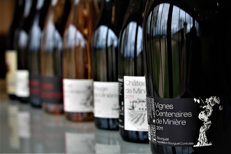 Wine tasting and free visit of the estate - Château De Minière