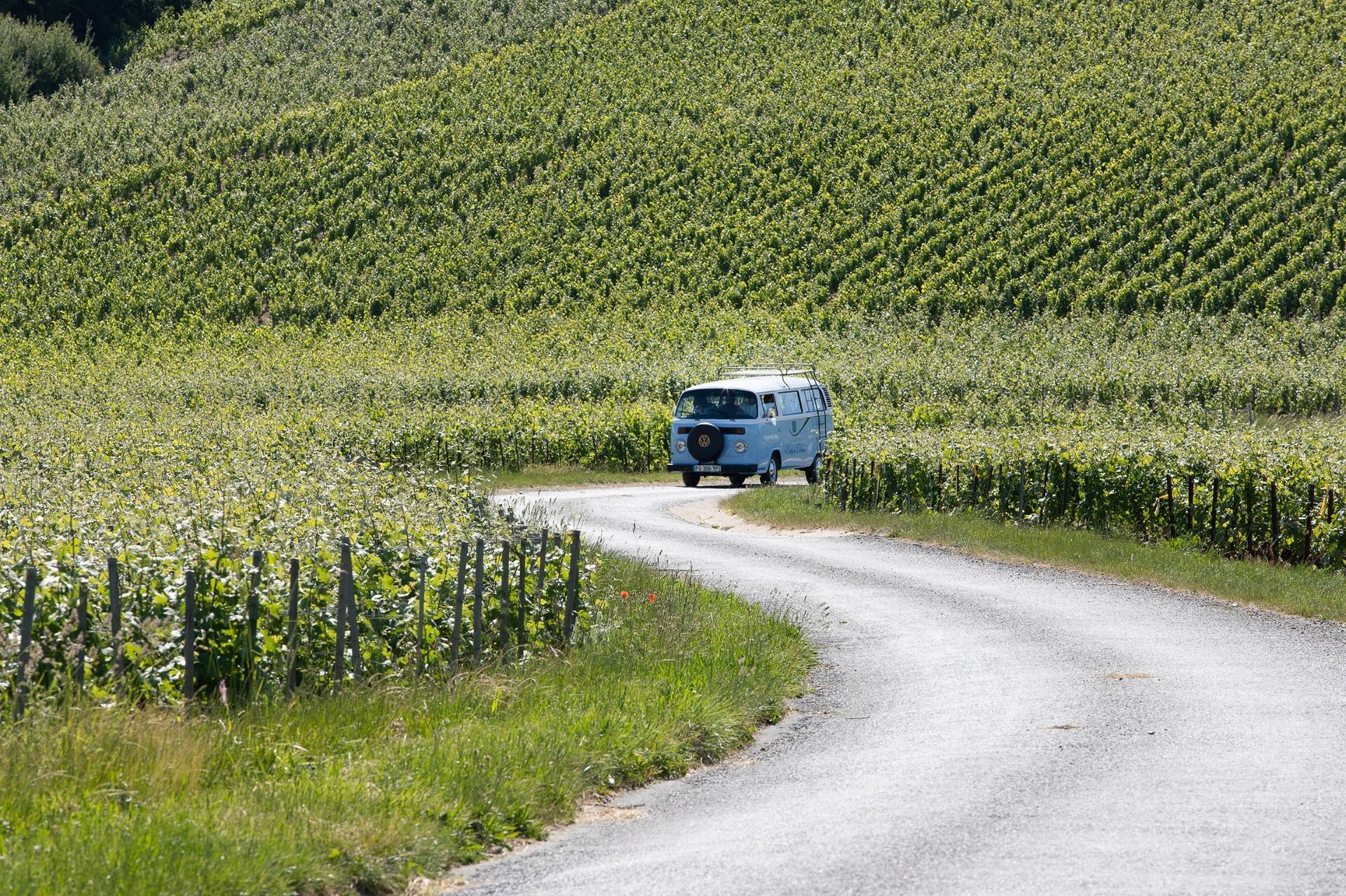 Champagne Lévêque Dehan ⭐️ Avis, Tarifs 2025