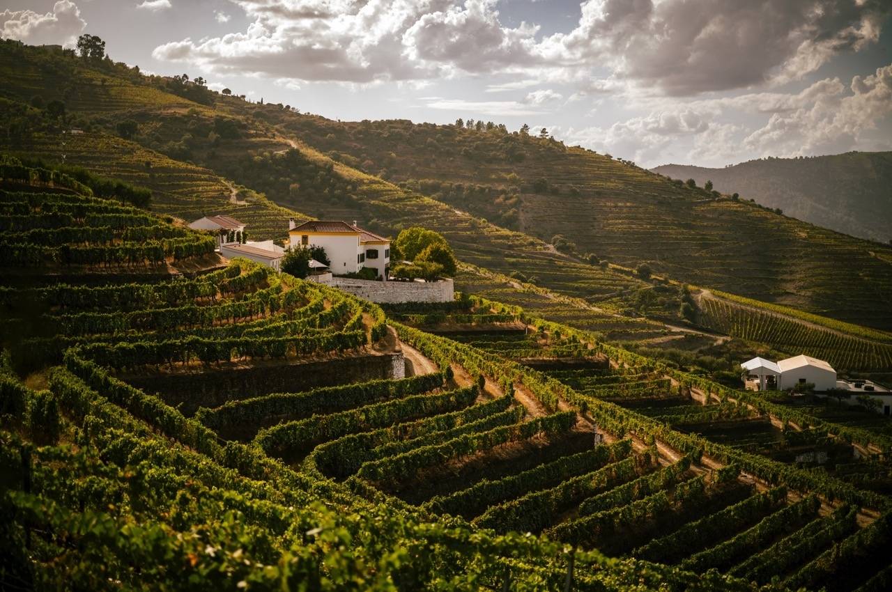 Quinta Da Côrte Tour & Tasting 2026 ⭐️ Book your Visit Now!