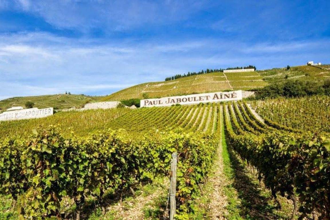 La Roche-de-GlunのPaul Jaboulet Aîné：訪問を予約する